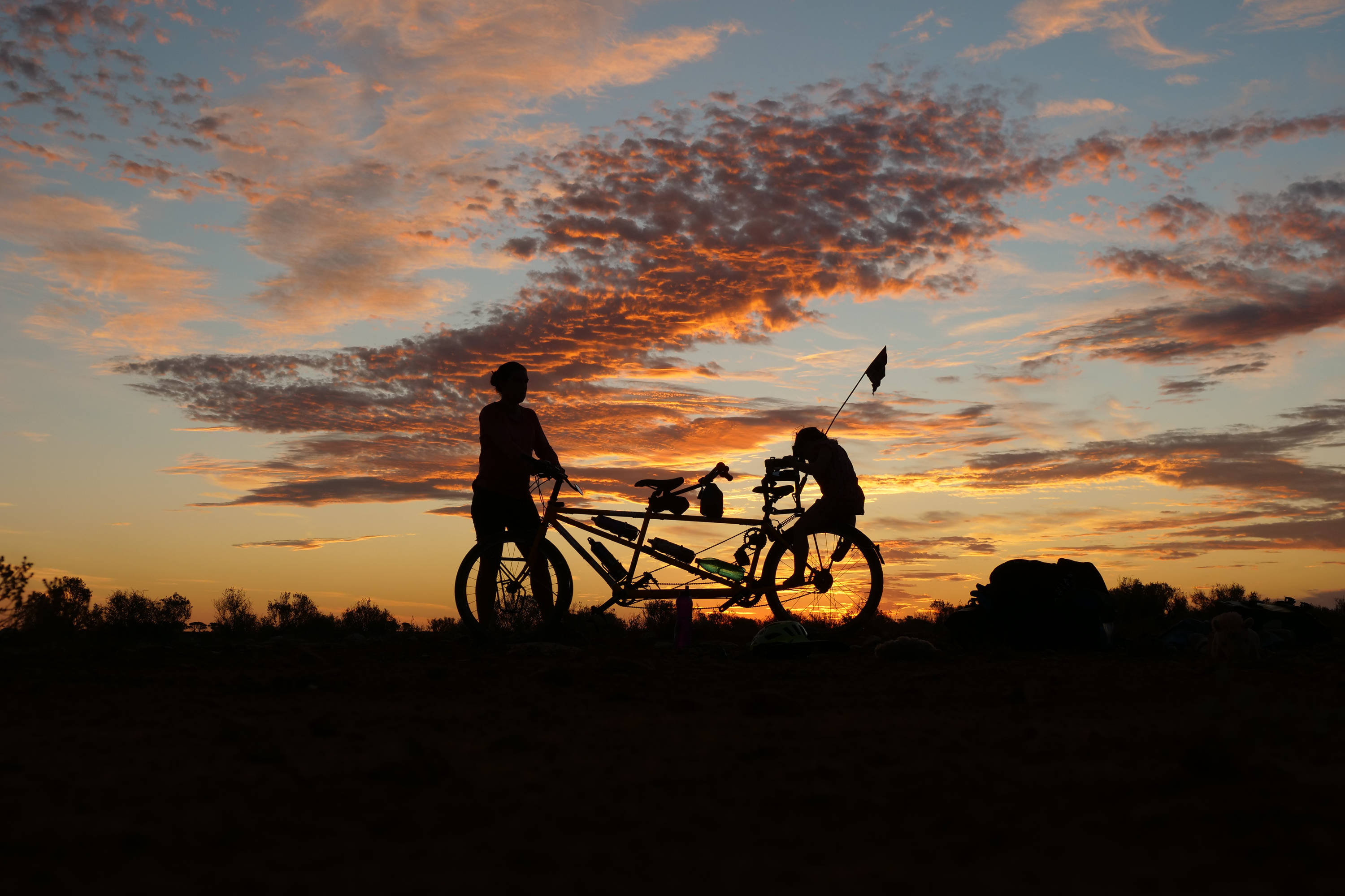 Latest news | Swag Family World Ride 2024